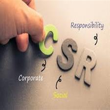 CSR Rules & Regulations: Analysis of Critical Aspects in the Form of ...